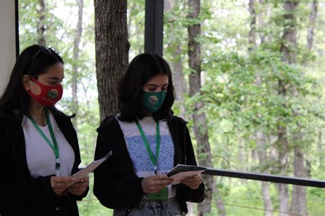 Forest Camp • ფორესტ კემპი Home Facebook