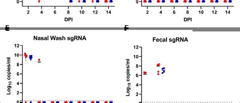 Sars Cov 2 Genomic And Subgenomic Rna Loads In Hamsters Infected With