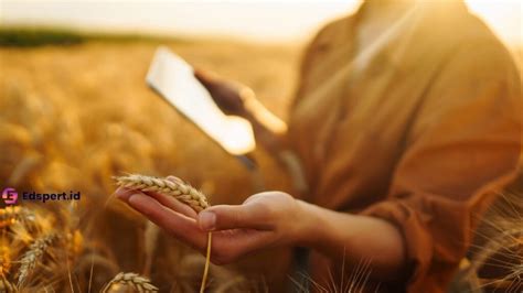 Apa Itu Iot Semua Hal Yang Harus Kamu Ketahui Ada Di Sini Edspert For Corporation