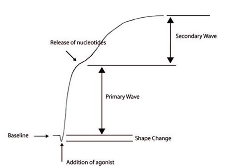 Platelet Function Testing Light Transmission Aggregometry Platelets