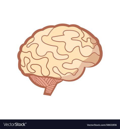 Brain Clip Art