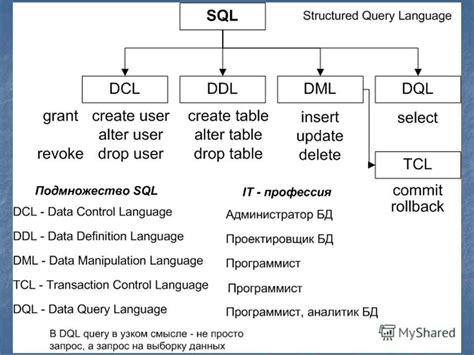 Изучение Sql Курсы Sql обучение основ Sql для начинающих с нуля на