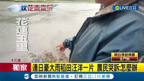 花蓮累積雨量破700毫米 防香蕉灣觀浪海巡勸離遊客 廟宇拉下鐵門防颱 鳳梨田根部泡水影響收成 水稻田慘淹損失慘 農民哭訴 怎麼辦