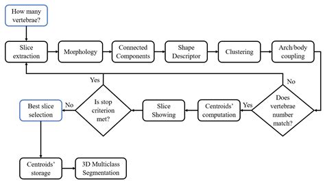 Segmentation And Identification Of Vertebrae In Ct Scans Using Cnn K Means Clustering And K Nn