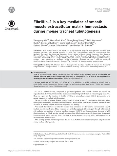 Fibrillin 2 Is A Key Mediator Of Smooth Muscle Extracellular Matrix Homeostasis During Mouse