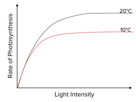 Rate Of Photosynthesis Questions And Revision Mme
