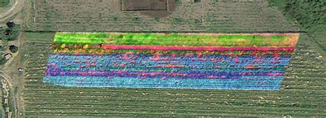 Hyperspectral Multispectral Lidar Technology Comparison