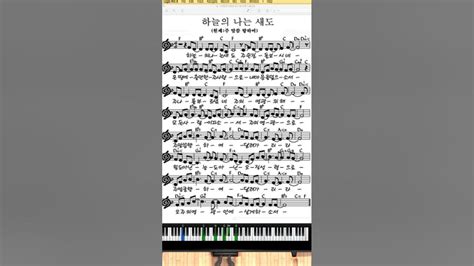 하늘의 나는 새도 주말씀 향 하여 반주법 Youtube