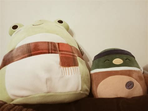 I Got Wendy And Avery For My Birthday Rsquishmallow