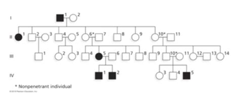 Ch 4 Extensions Of Mendelian Inheritance Flashcards Quizlet