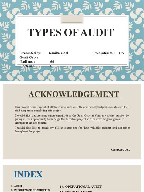 Types Of Audit Assignment Pdf Financial Audit Audit Types Of Audit Assignment Pdf Financial Audit Audit