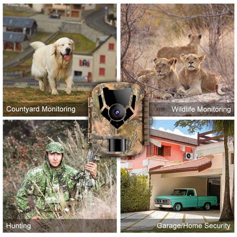 How To Set Microscope How To Set Microscope