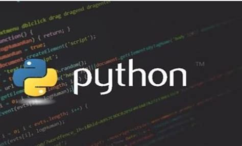 Solve Python Tasks Debug Code And Design Algorithms By Usmansarfaraz1 Fiverr