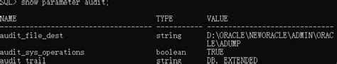 Oracle审计功能的使用show Parameter Audit Csdn博客