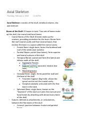 Understanding The Anatomy Of The Axial Skeleton Course Hero