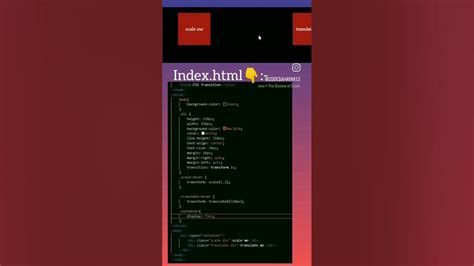 Css Transition Effect 4 Day 4 Of 100daysofcodechallenge Shorts Youtubeshorts Youtube