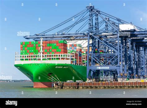 Evergreen Ever Act Container Ship And Gantry Cranes On Quayside Port