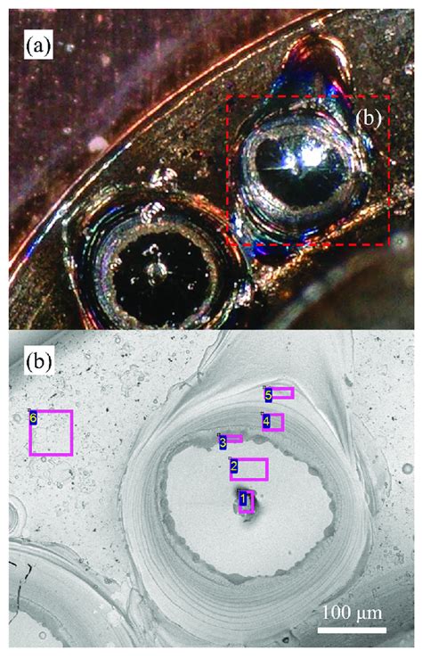 Macroscopic Morphology A And Microstructure B Of Molten Pool