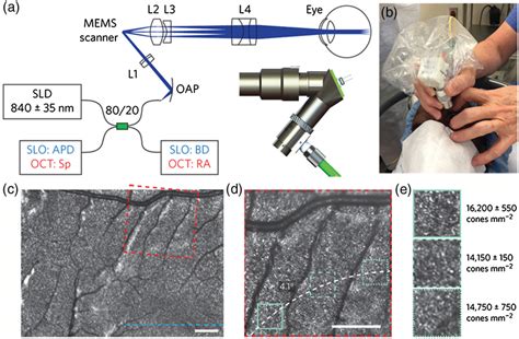 Ultracompact Slo Oct High Resolution Handheld Probe With Widefield Download Scientific Diagram