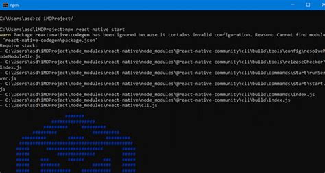 how to create a project using react native nucleio information services