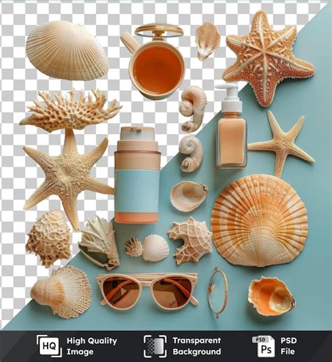 Page 6 Seashells Elements Psd 4 000 High Quality Free Psd Templates For Download