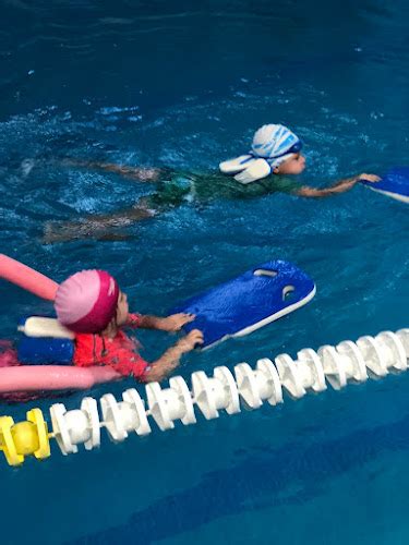 7 αξιολογήσεις για ΠΑΙΔΙΚΟΣ ΣΤΑΘΜΟΣ ΝΗΠΙΑΓΩΓΕΙΟ ΟΝΕΙΡΟΛΟΥΛΟΥΔΟ Νηπιαγωγείο στην Ηράκλειο Κρήτη