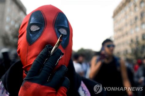 데드풀 마스크 쓴 채 마리화나의 날 기념행사 참석한 칠레 남성 연합뉴스