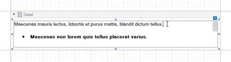 xrrichtext rtf property reporting tools devexpress documentation