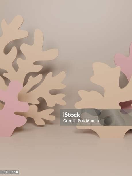 3d 렌더링 수중 테마 종이 컷 산호 와 해초 제품 디스플레이 배경 스킨 케어 건강 및 의료 제품 핑크와 베이지 색 0명에 대한 스톡 사진 및 기타 이미지 Istock