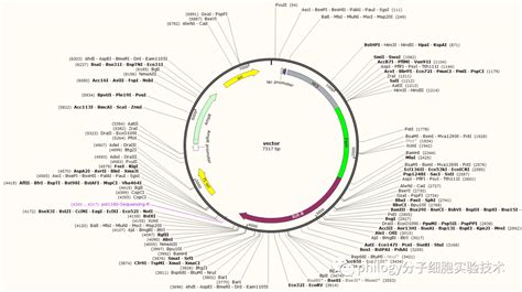 【干货】做原核表达，请注意你的蛋白，别让它害了你！目的结构二级