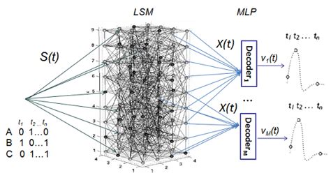 model used in the experiments s t is the input stimulus x t is the