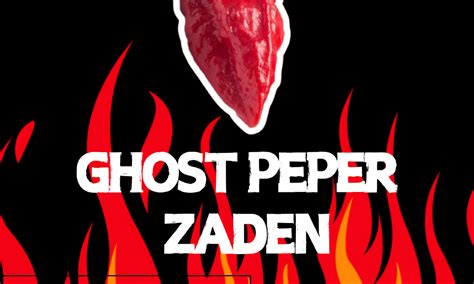 De Fascinerende Origine Van De Ghost Pepper Mr Scoville
