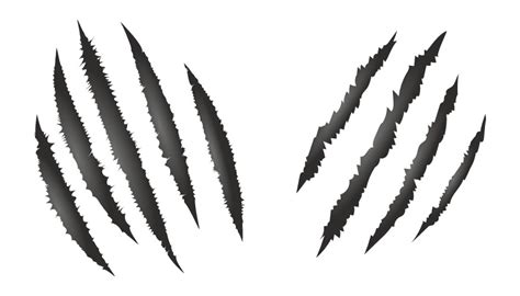 Lion Scratch Vector Images Over 970