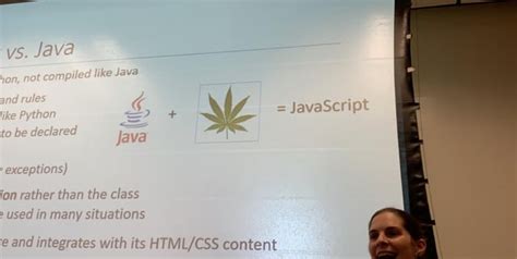 why a lot of software engineers say javascript is garbage r askprogramming