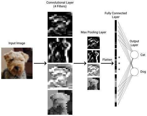 Convolutional Neural Networks