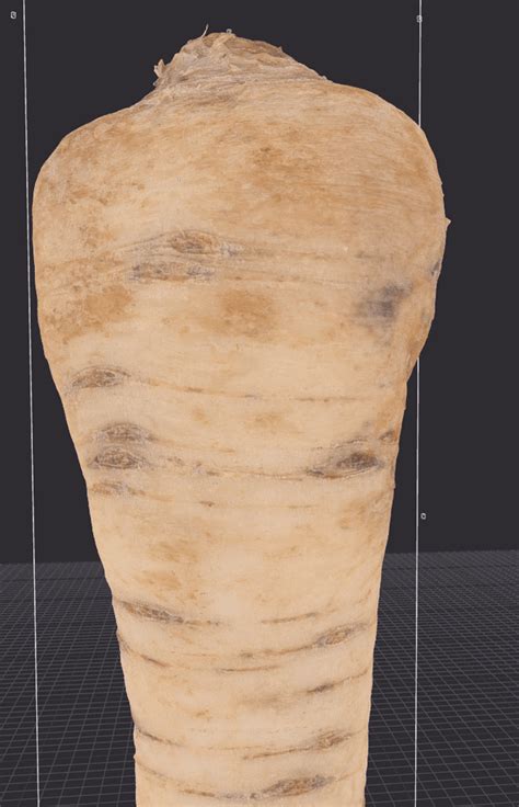 Why Do These Lines Appear Before The Diffuse Texture And Disappear