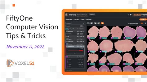 Voxel51 On Linkedin Fiftyone Computer Vision Tips And Tricks — Nov 11
