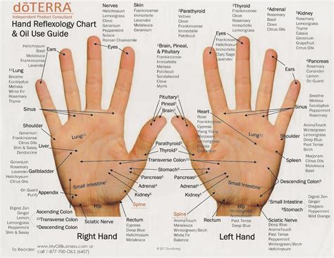 Printable Hand Reflexology Chart Minimalist Blank Pri