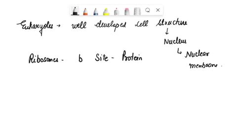Solved A Cell Wall Rigid Structure That Helps Maintain Bacterial Shape B Chromosomes