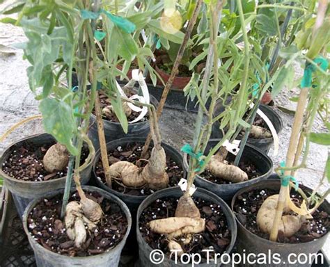 Windows Security Log Quick Reference Chart Pdf Download Trackergene