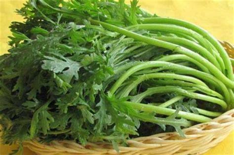 常见的绿叶菜有哪些？盘点十大最常见的绿叶菜2巴拉排行榜