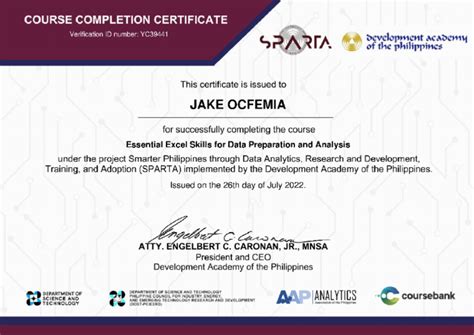 essential excel skills for data preparation and analysis pdf