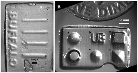 2 3d Structures Printed Using 10 Pegda 400 And 02 Wt Lap Download Scientific Diagram