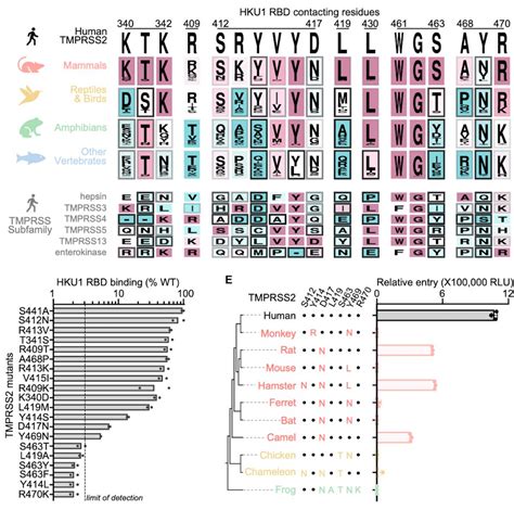 Rbd 342 Best Photos On