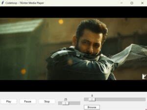 How To Build Media Player In Python Tkinter Codeloop