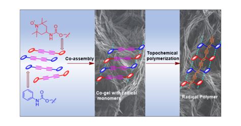 Topochemical Synthesis Of Conducting Radical Polymers Macromolecules