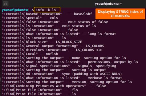 The Info Command In Linux Practical Examples Linuxsimply