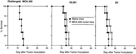 Long Term Specific Immunologic Memory Following Successful Adoptive Download Scientific Diagram