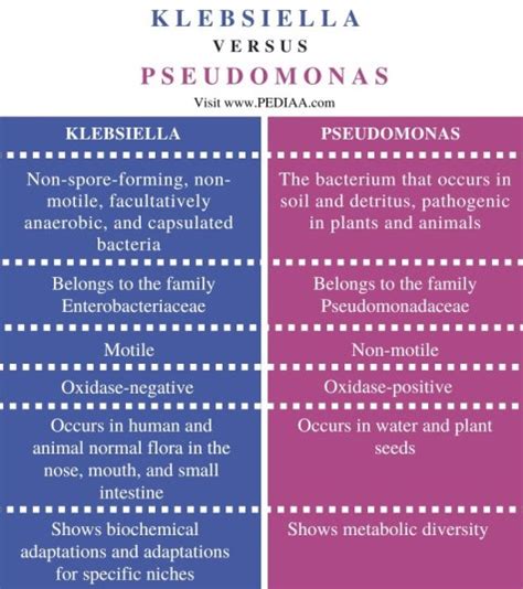 What Is The Difference Between Klebsiella And Pseudomonas Pediaacom