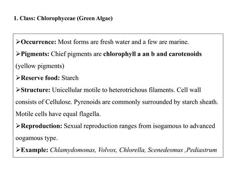 Algae Classification Pptx
